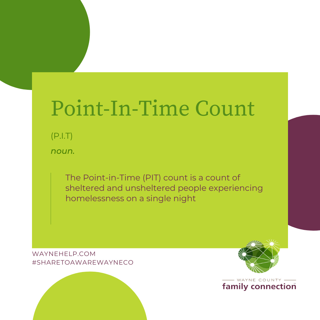 Point-In-Time (PIT) Count - Wayne County, GA Help